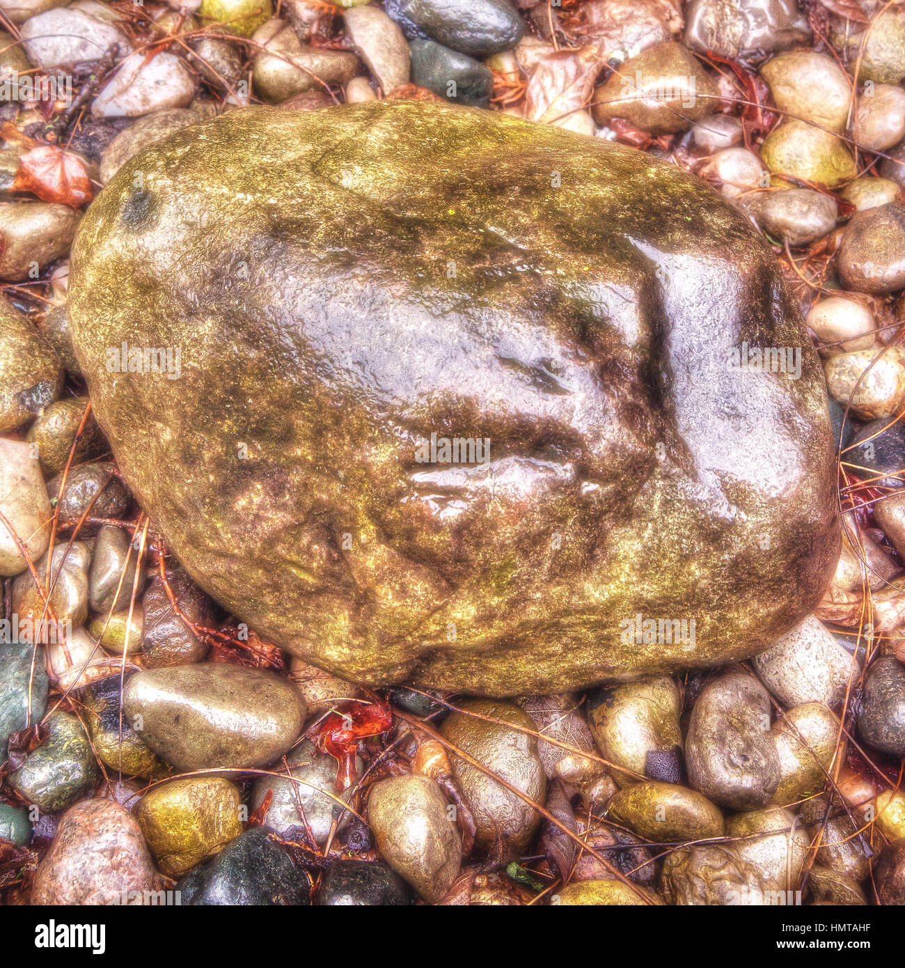 Fall rock garden plot with large and small stones Stock Photo - Alamy