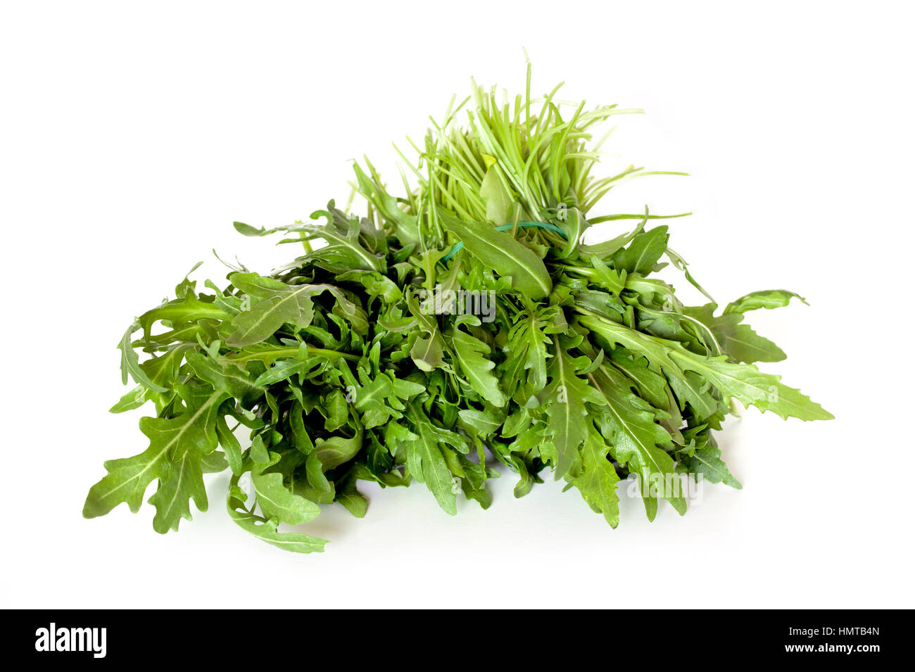 Two bunches of fresh rocket salad isolated on white background Stock ...