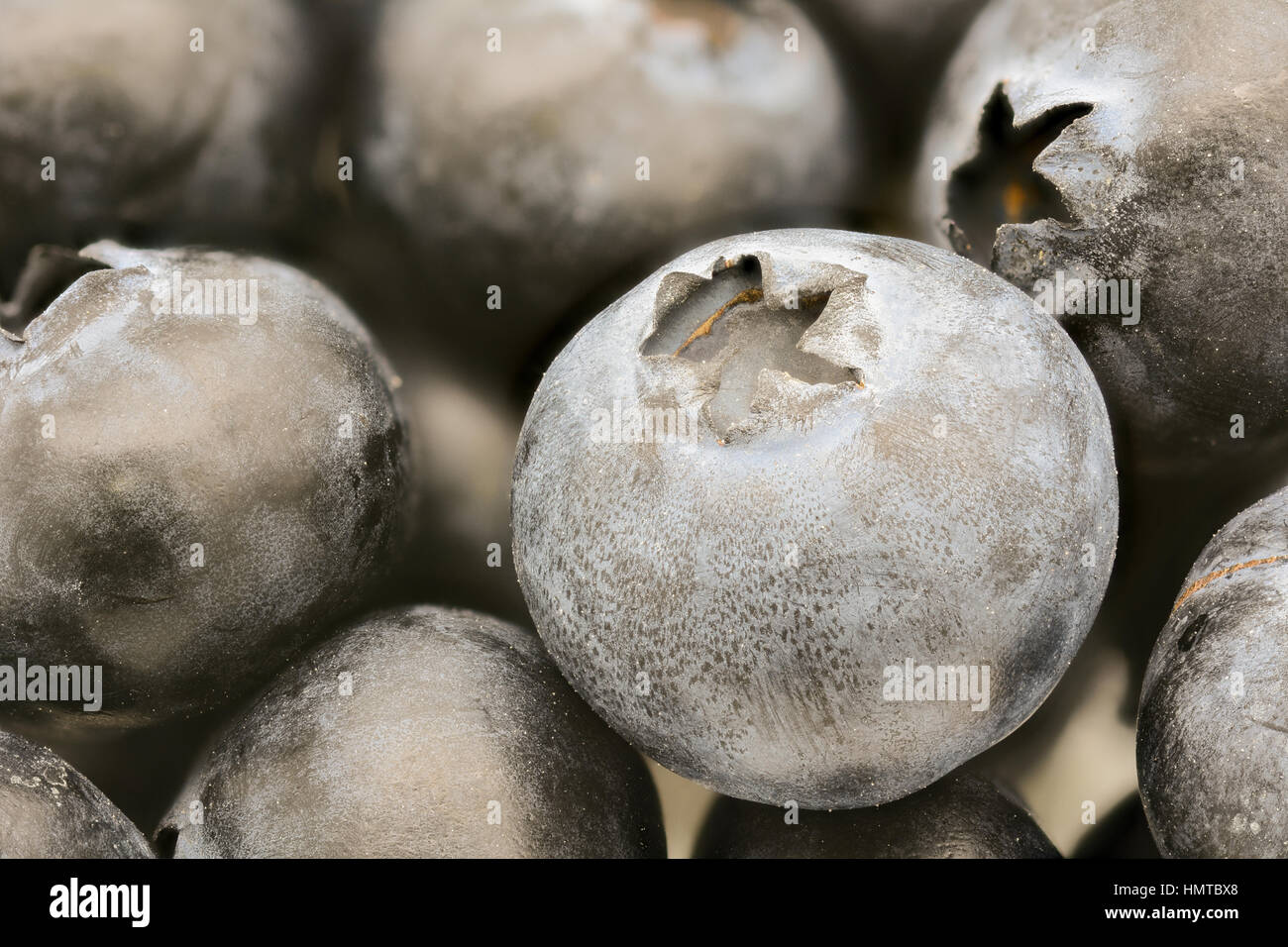 close-up of fresh cool blueberries fruit background Stock Photo - Alamy