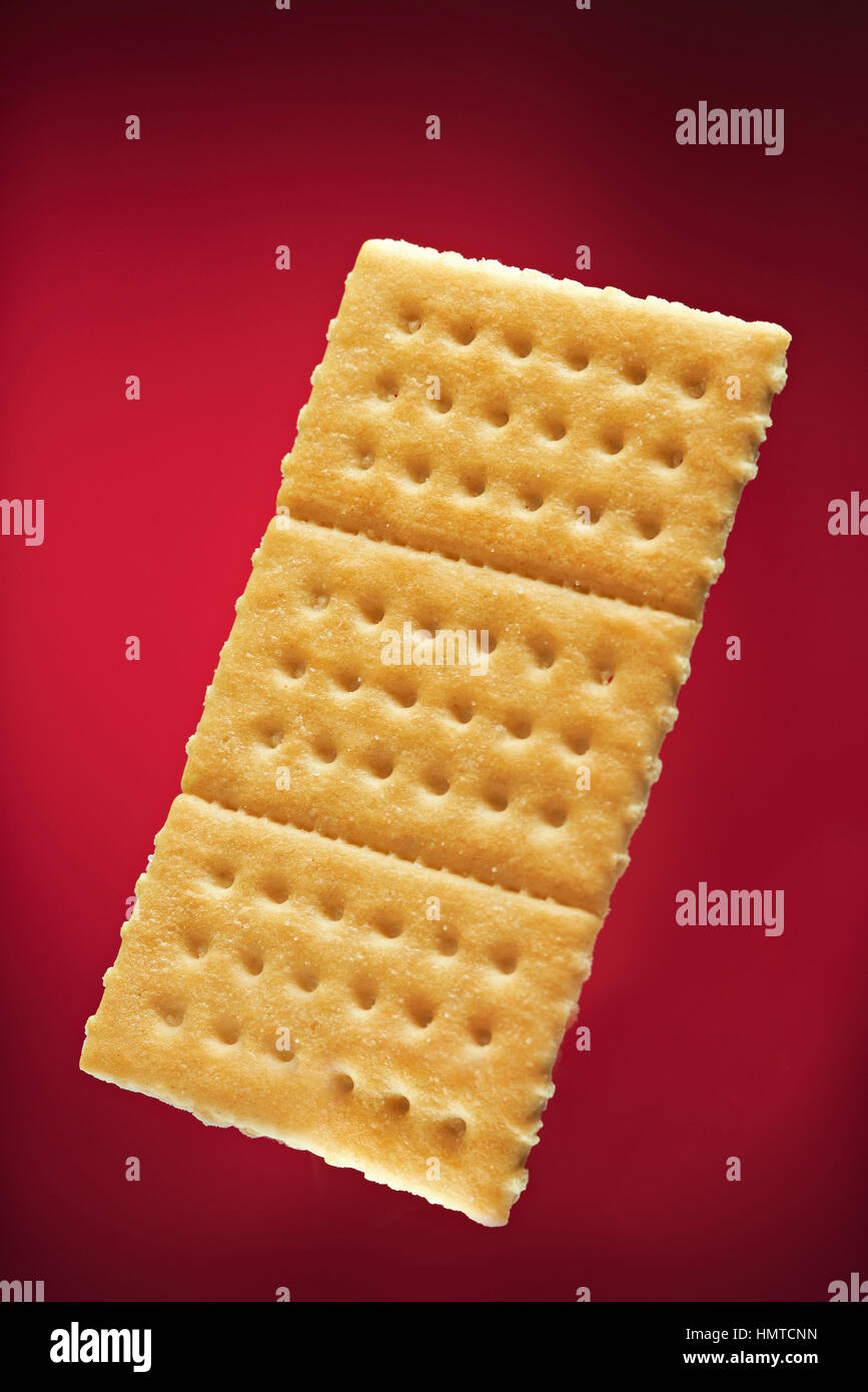 Foods That Are Rectangle