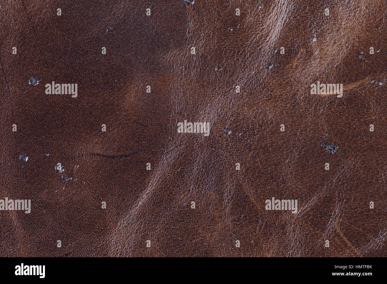 Leather, skin, texture, background Stock Photo - Alamy