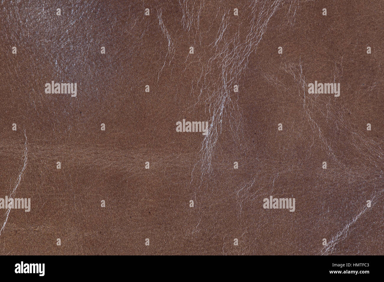 Leather, skin, texture, background Stock Photo - Alamy