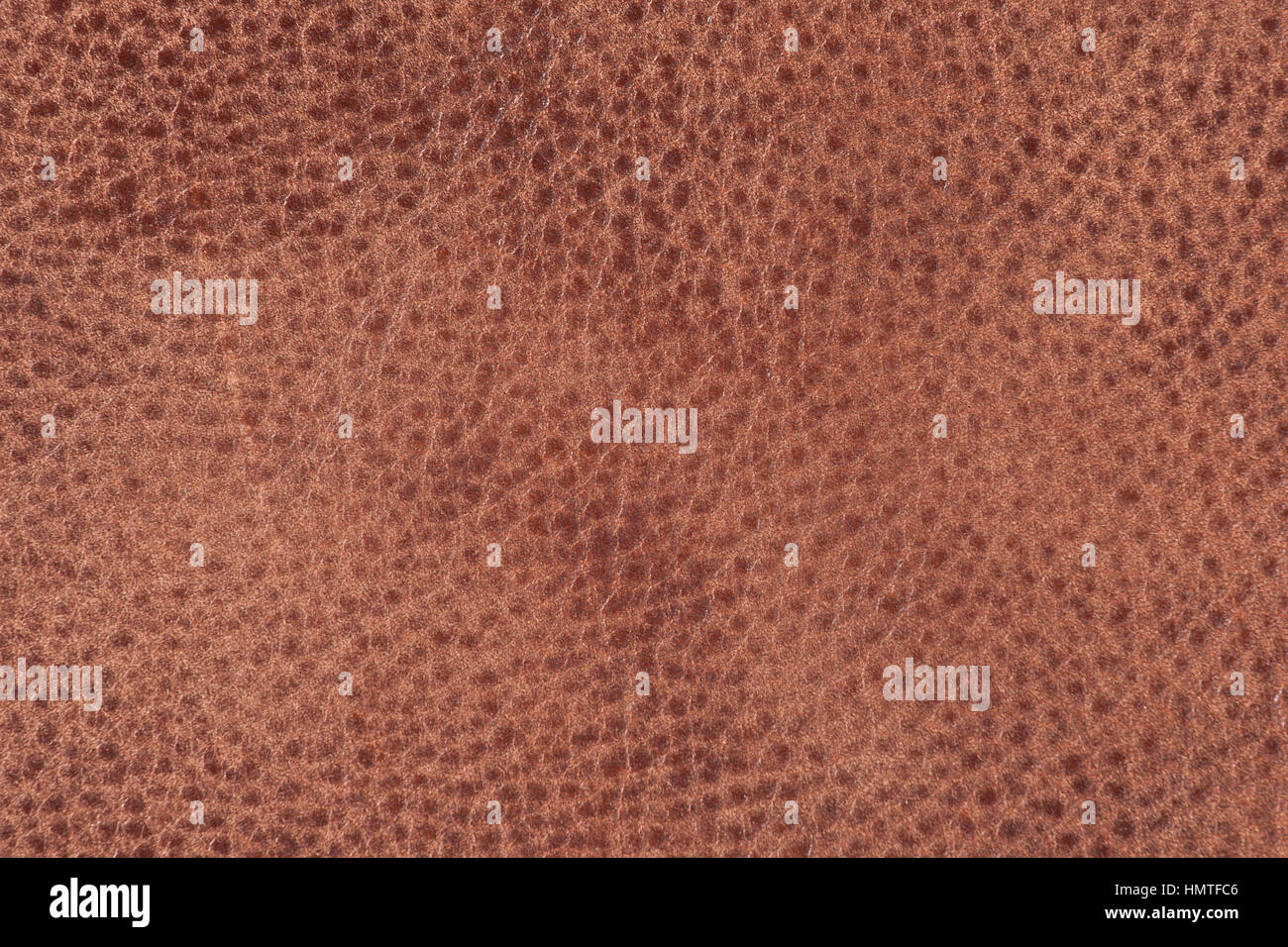Leather, skin, texture, background Stock Photo - Alamy