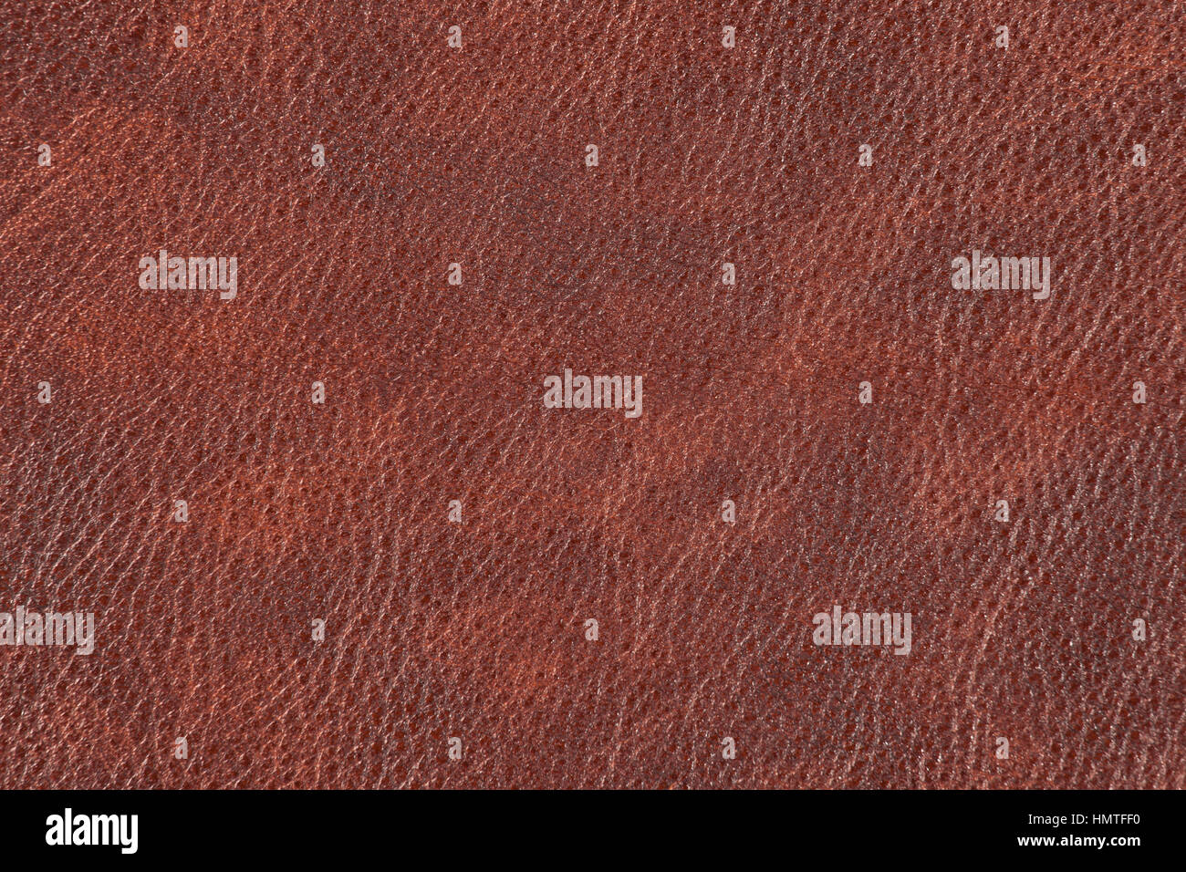 Leather, skin, texture, background Stock Photo - Alamy