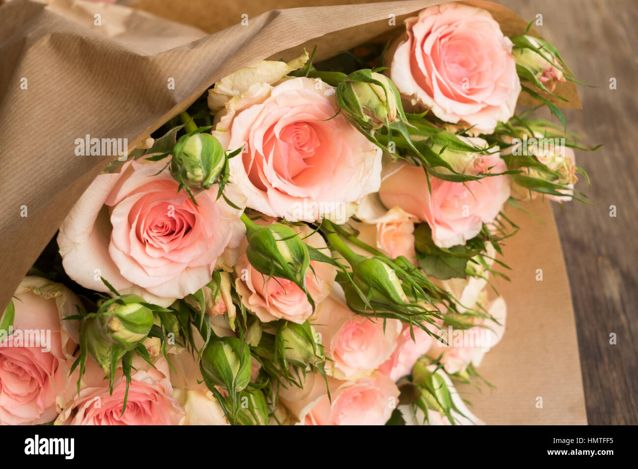 Violet blooming roses Stock Photo - Alamy