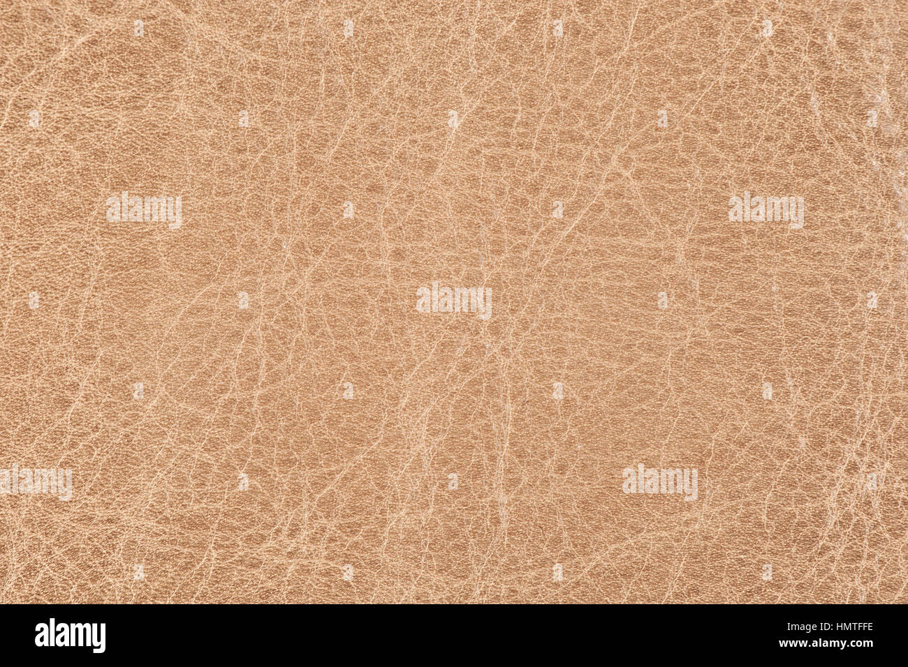 Leather, skin, texture, background Stock Photo - Alamy