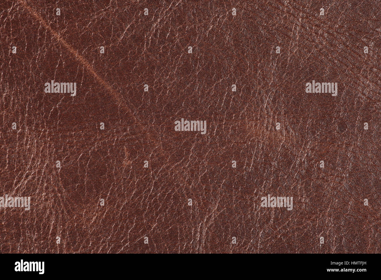 Leather, skin, texture, background Stock Photo - Alamy