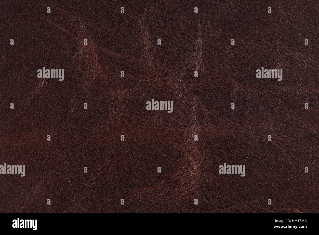 Leather, skin, texture, background Stock Photo - Alamy