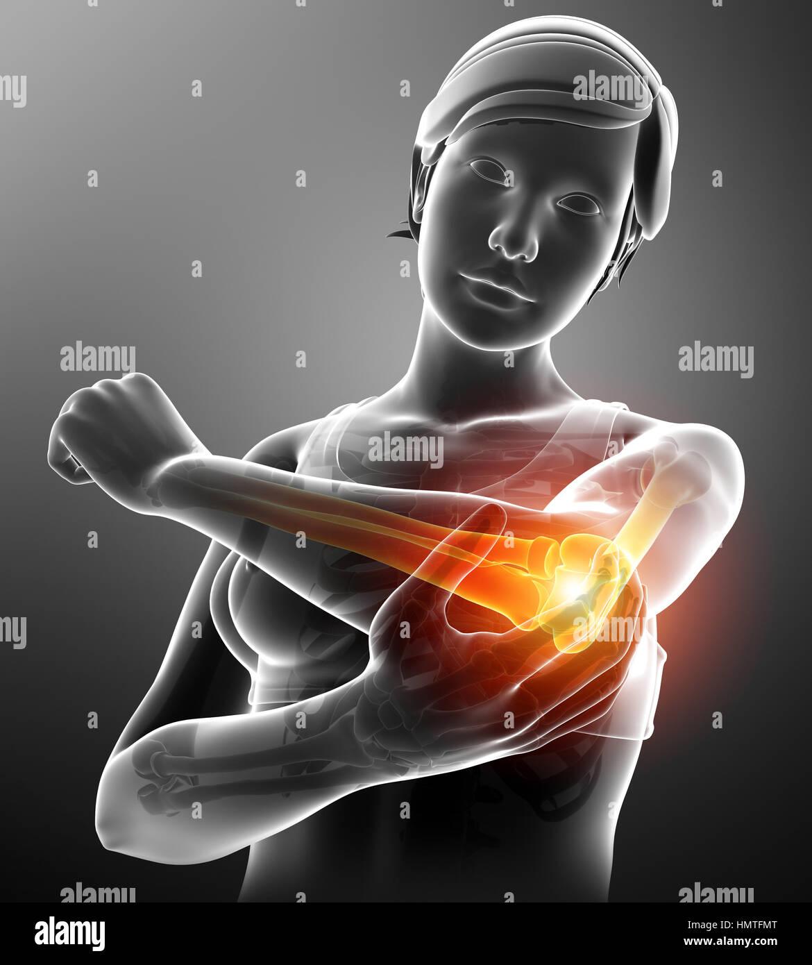 3d image of elbow joint hi-res stock photography and images - Alamy