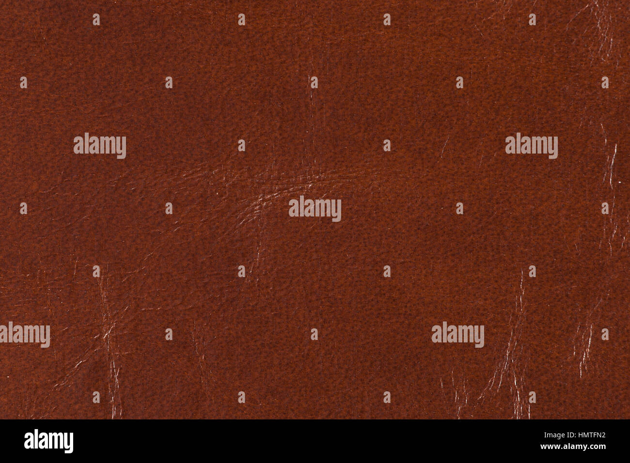 Leather, skin, texture, background Stock Photo - Alamy