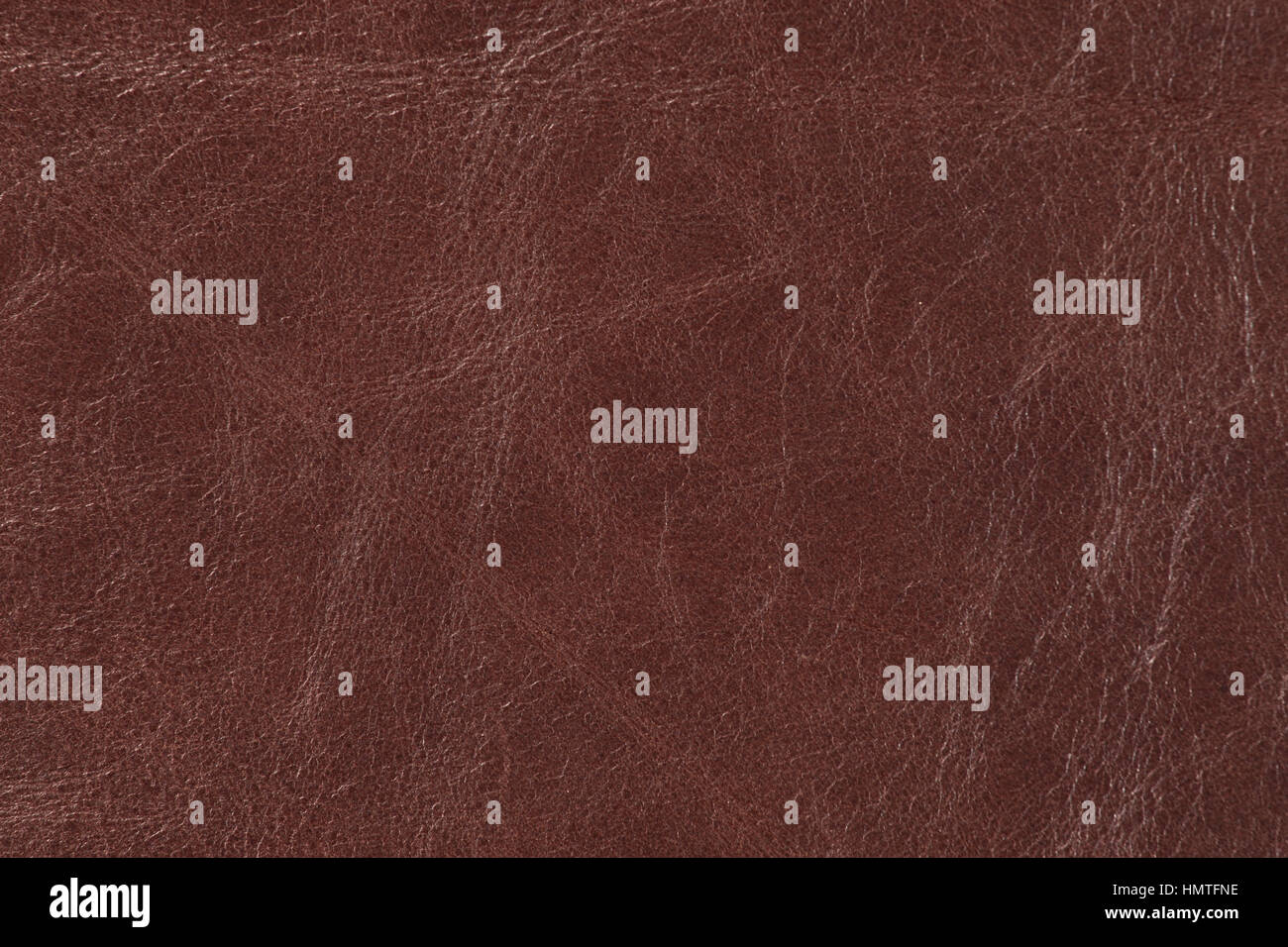 Leather, skin, texture, background Stock Photo - Alamy