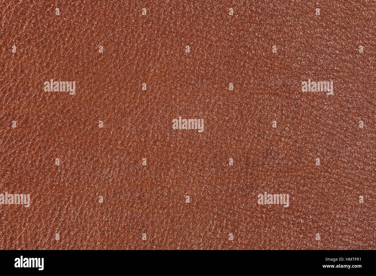 Leather, skin, texture, background Stock Photo - Alamy