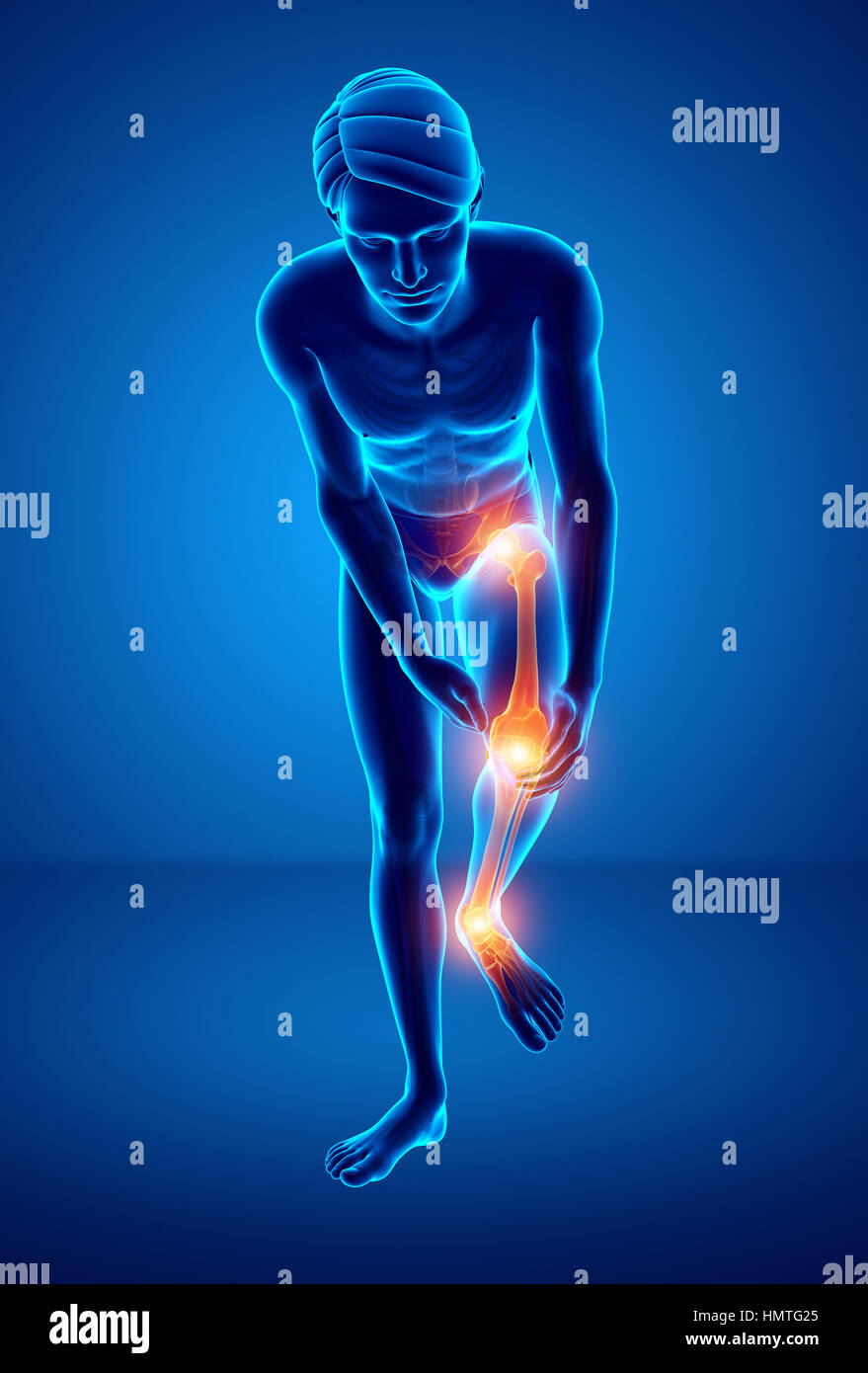 3d Illustration of Male Leg Joint Pain Stock Photo - Alamy
