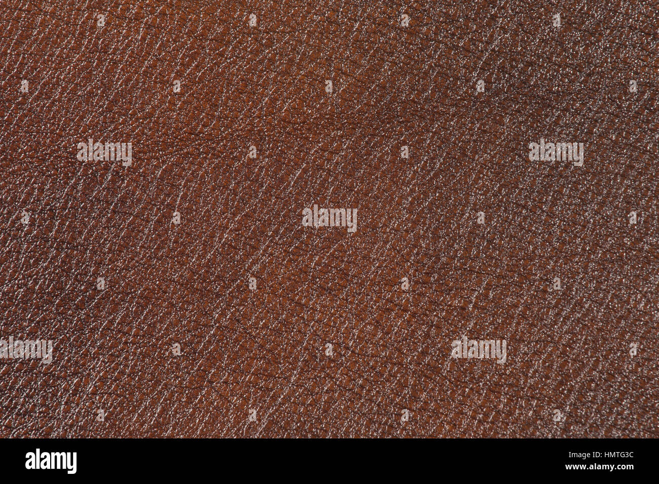 Leather, skin, texture, background Stock Photo - Alamy