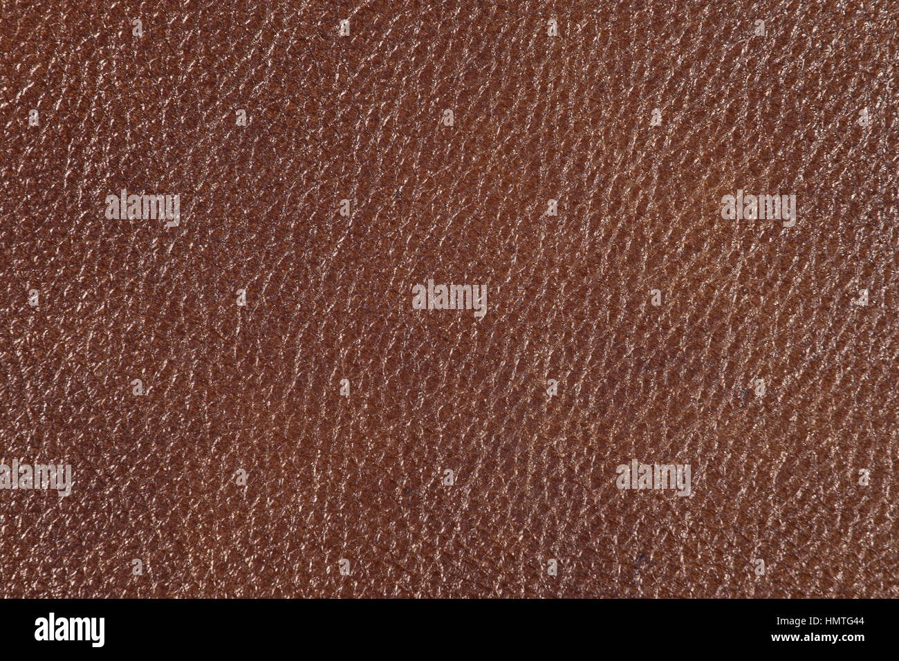 Leather, skin, texture, background Stock Photo - Alamy