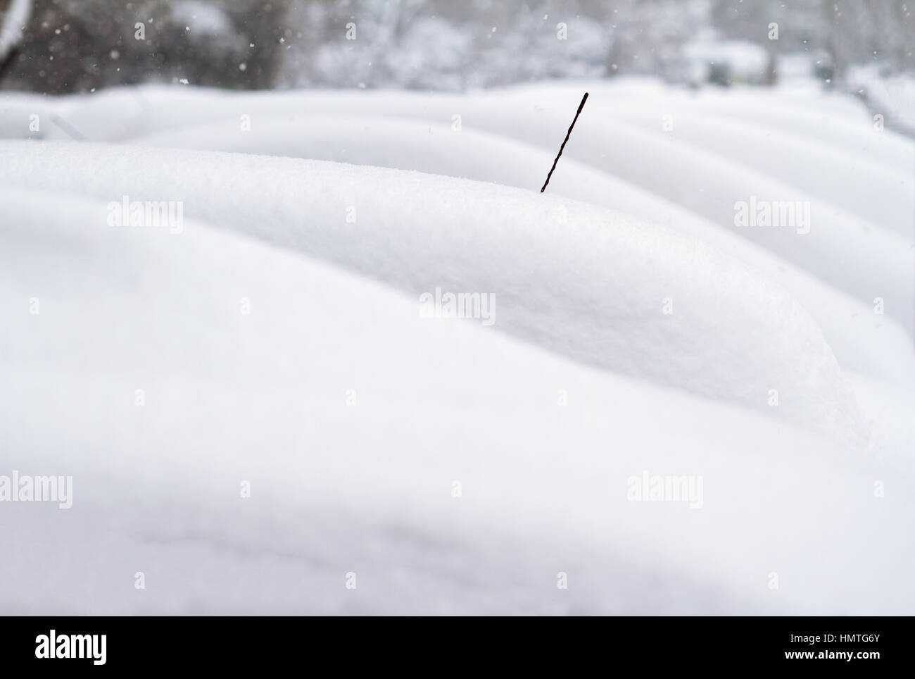 horizontal side view of a row of cars covered completely in snow with ...