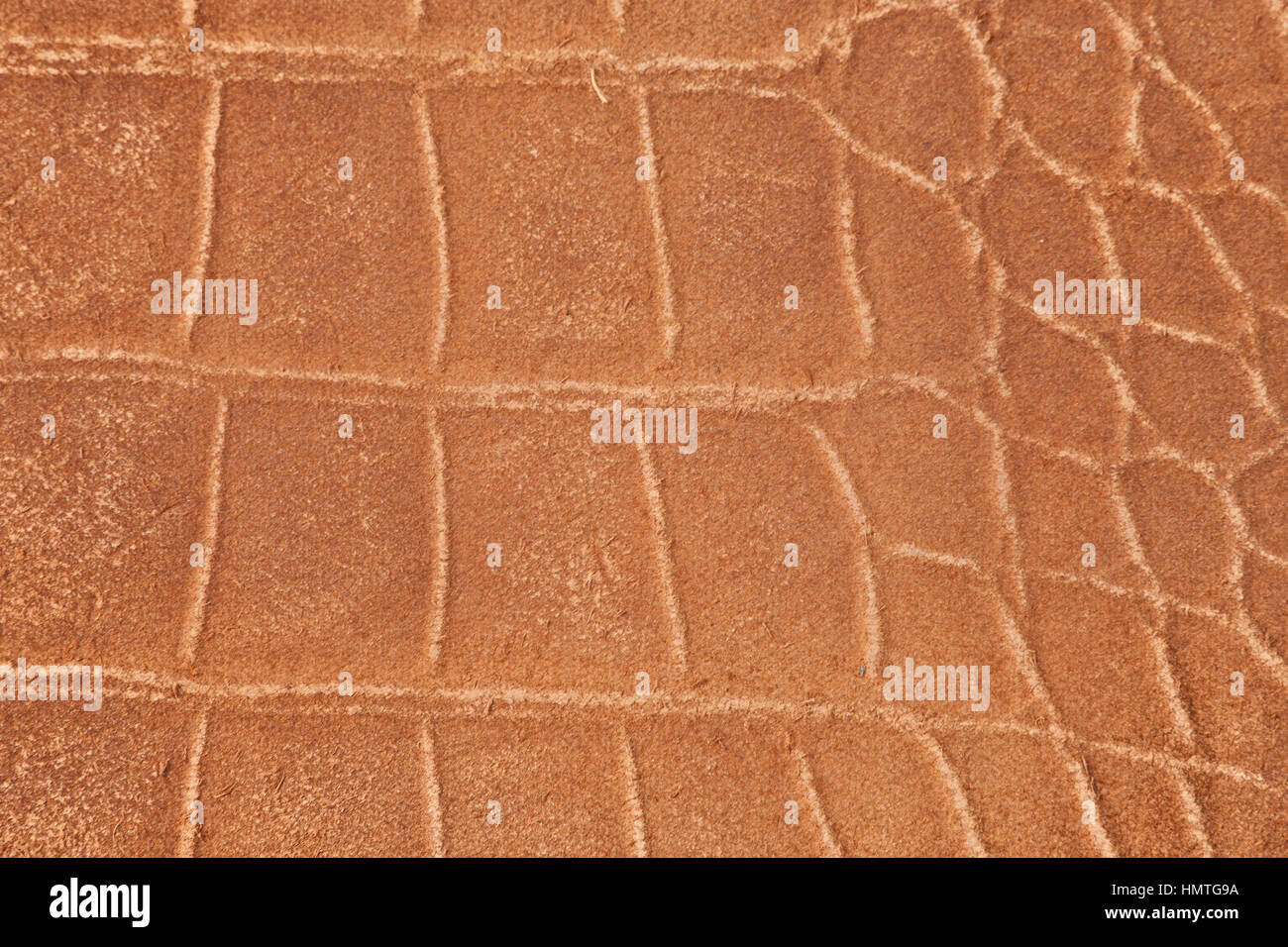 Leather, skin, texture, background Stock Photo - Alamy