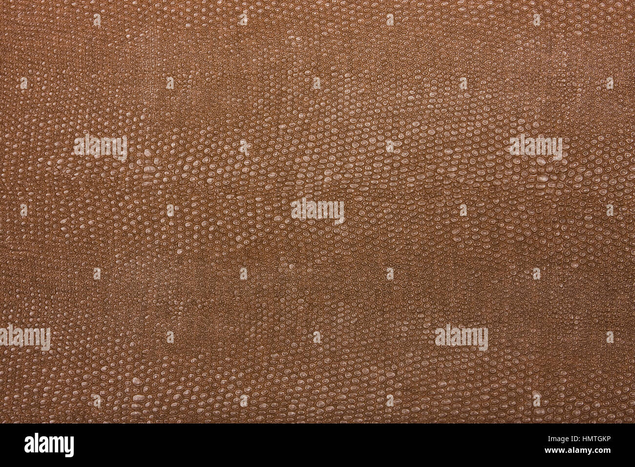 Leather, skin, texture, background Stock Photo - Alamy