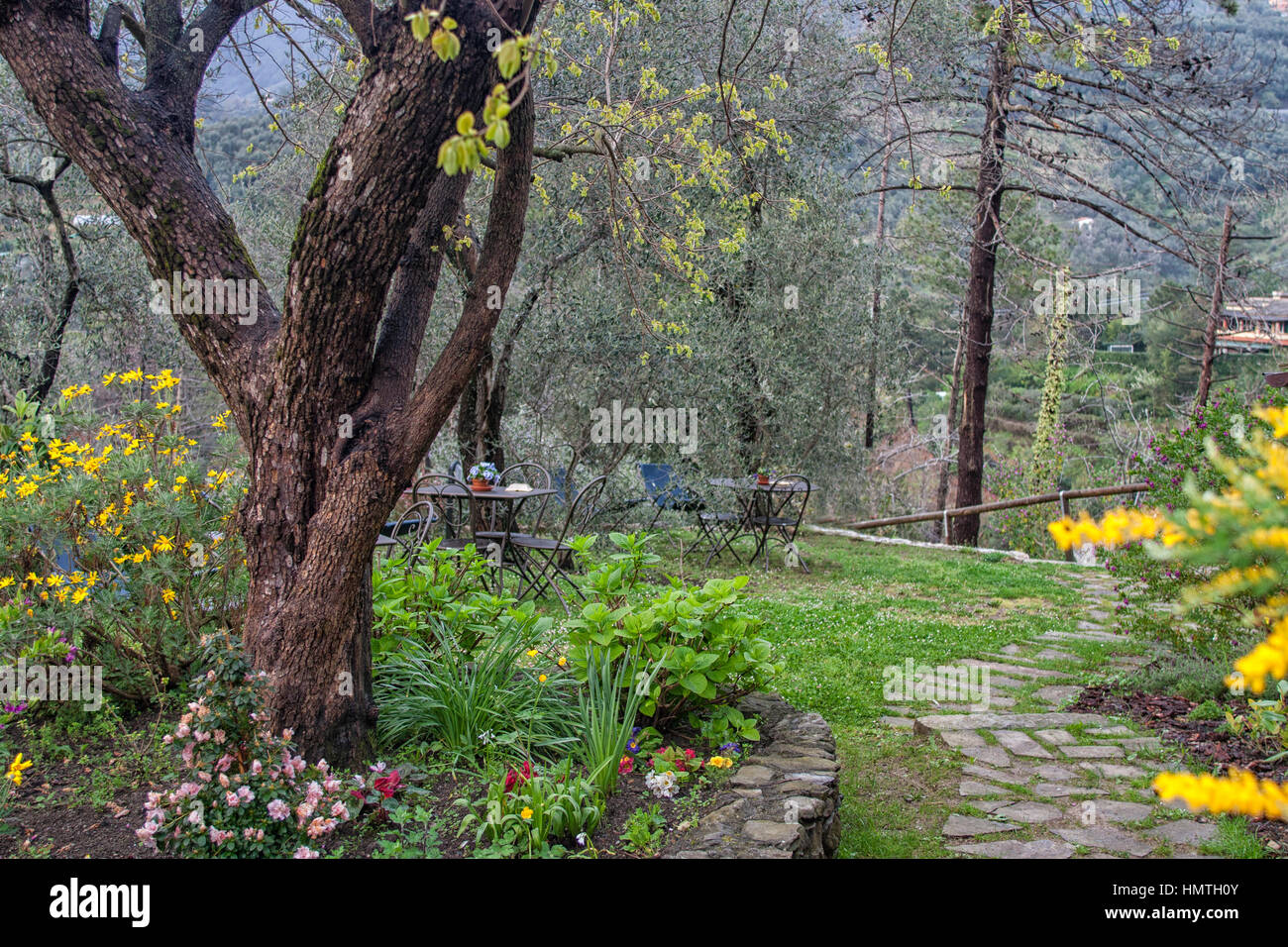 Beautiful garden in early spring Stock Photo - Alamy
