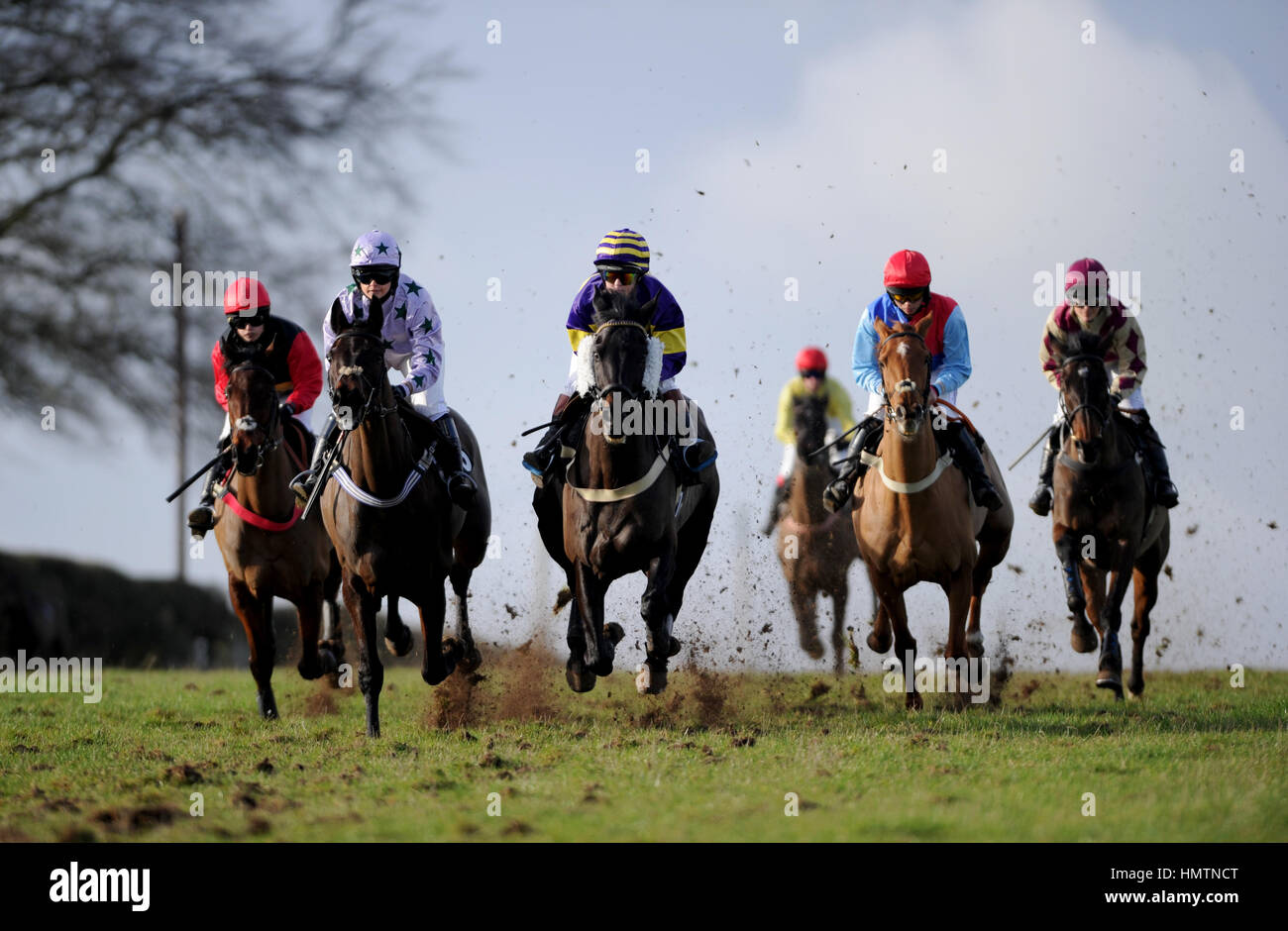 Dorset, UK. 5th Feb, 2017. The South Dorset Hunt Point-to-Point Races ...