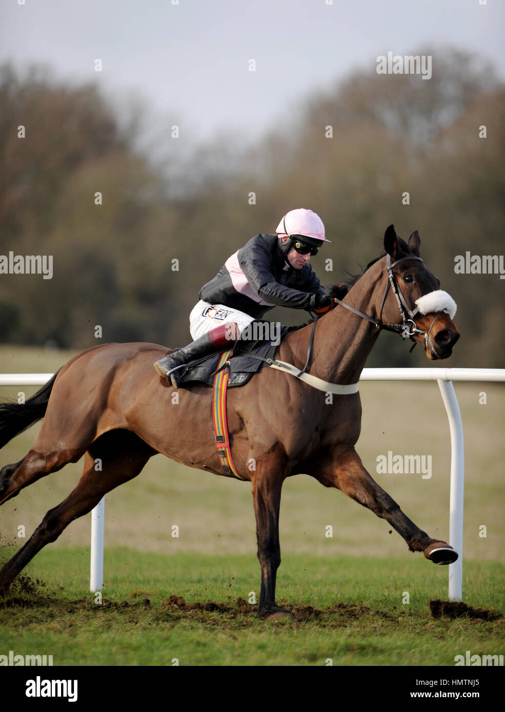 Dorset, UK. 5th Feb, 2017. The South Dorset Hunt Point-to-Point Races ...