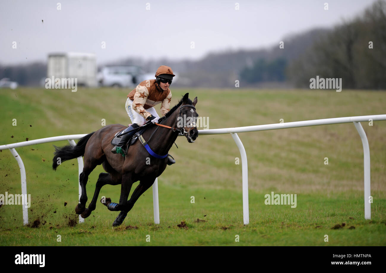 Dorset, UK. 5th Feb, 2017. The South Dorset Hunt Point-to-Point Races ...