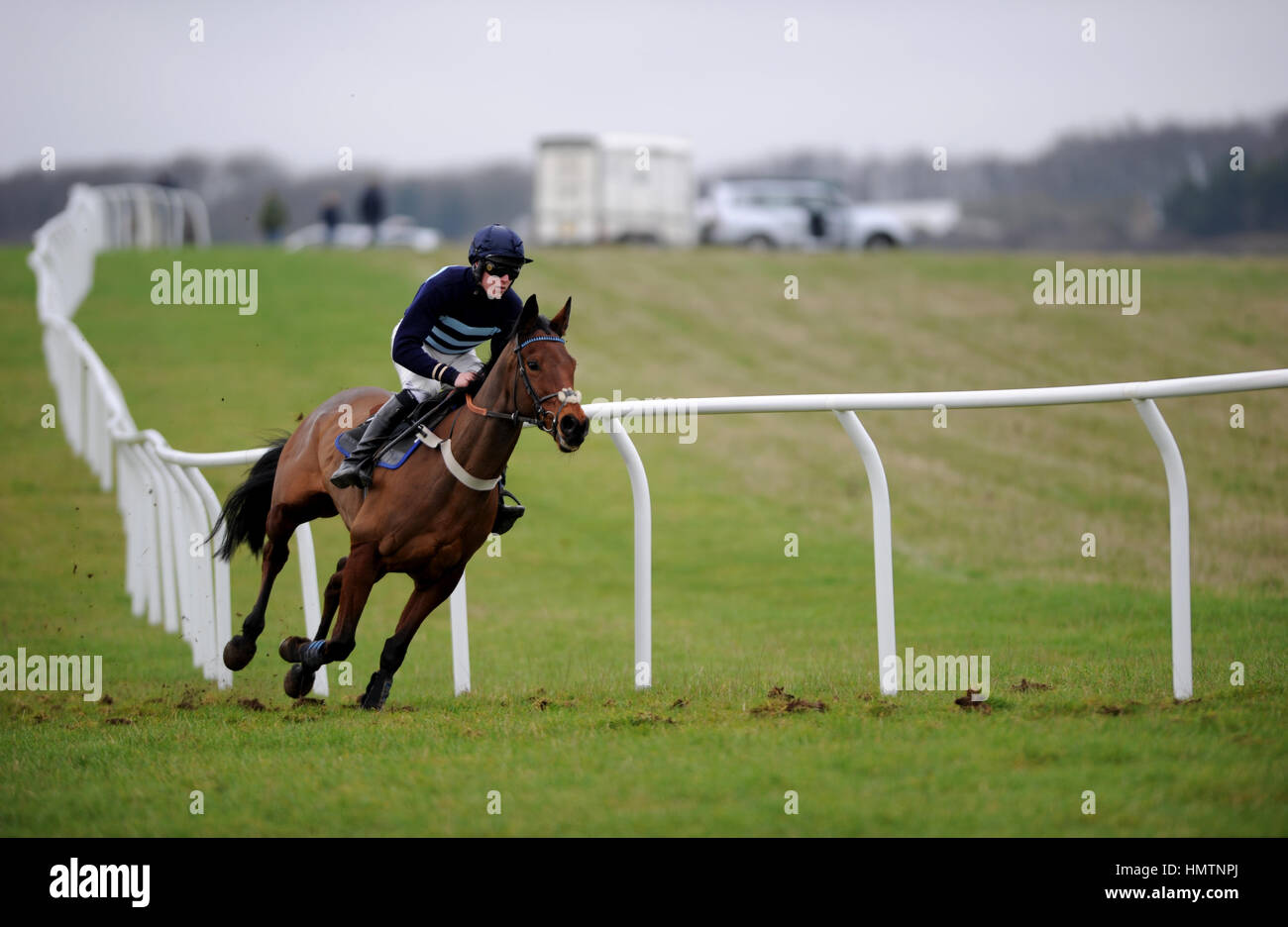 Dorset, UK. 5th Feb, 2017. The South Dorset Hunt Point-to-Point Races ...
