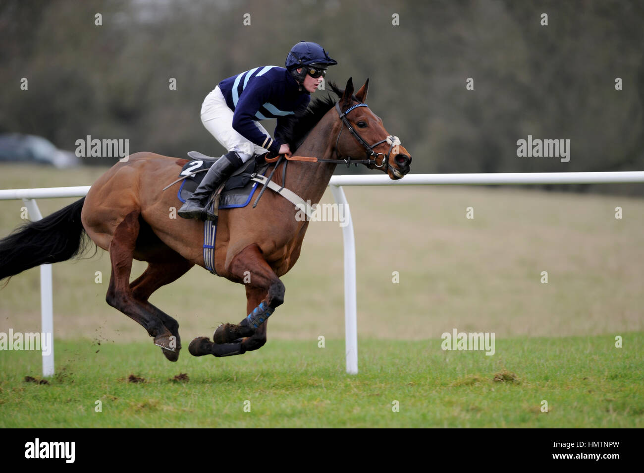 Dorset, UK. 5th Feb, 2017. The South Dorset Hunt Point-to-Point Races ...
