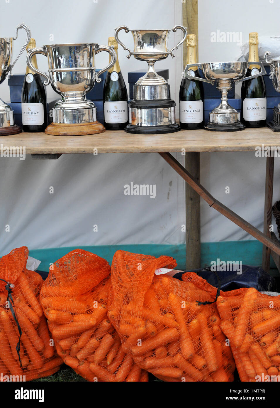 Dorset, UK. 5th Feb, 2017. The South Dorset Hunt Point-to-Point Races ...