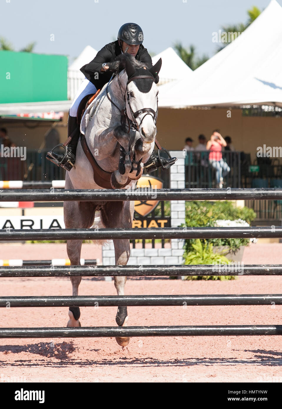 Wellington, USA. 4th Feb, 2017. Capt. Brian Cournane rides during the ...