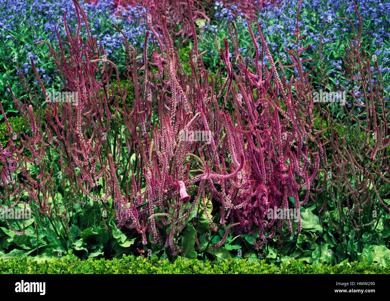 Russian statice hi-res stock photography and images - Alamy