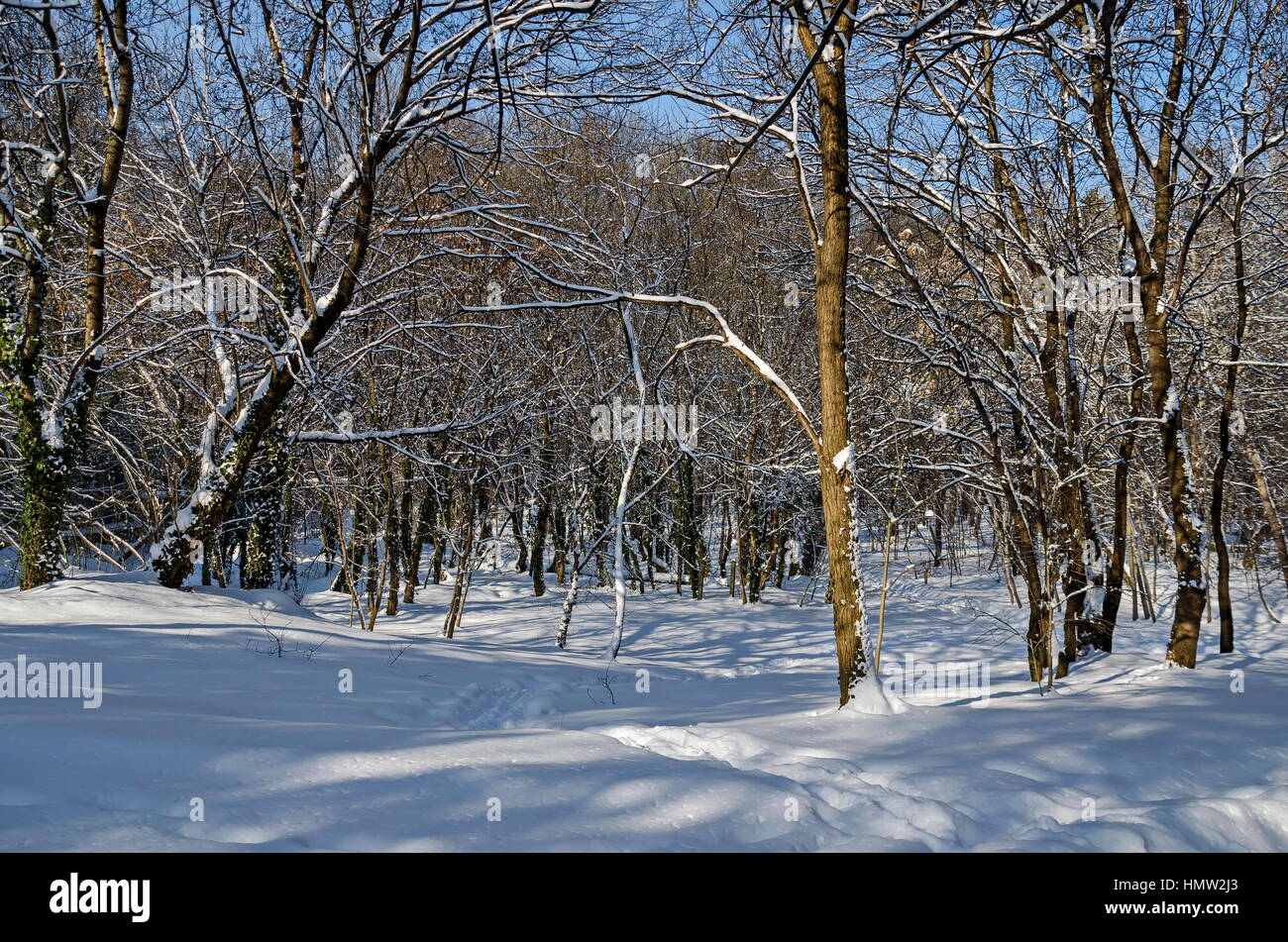 Sofia weather hi-res stock photography and images - Alamy