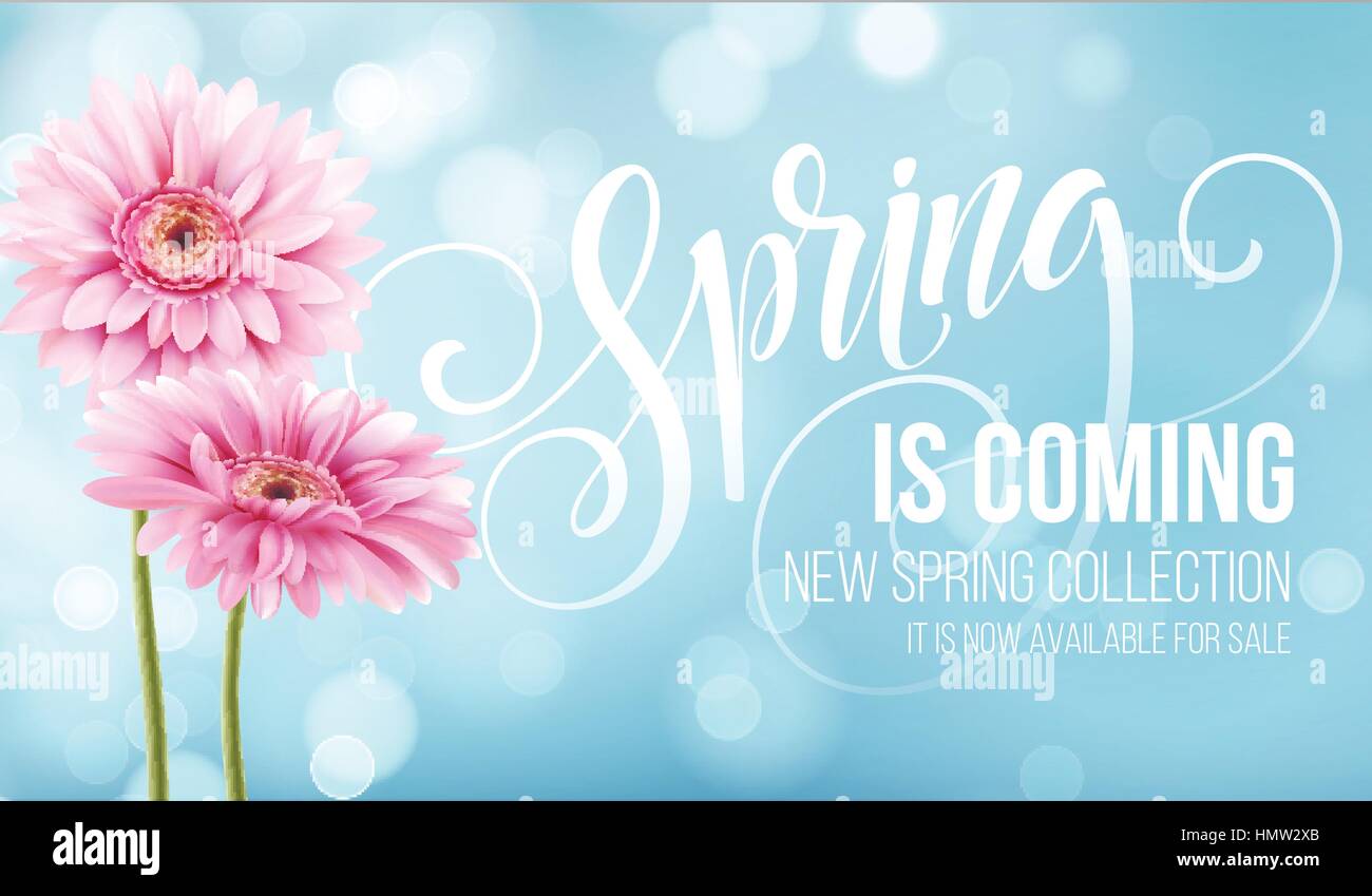 Gerbera Flower Background and Spring is coming Lettering. Vector ...
