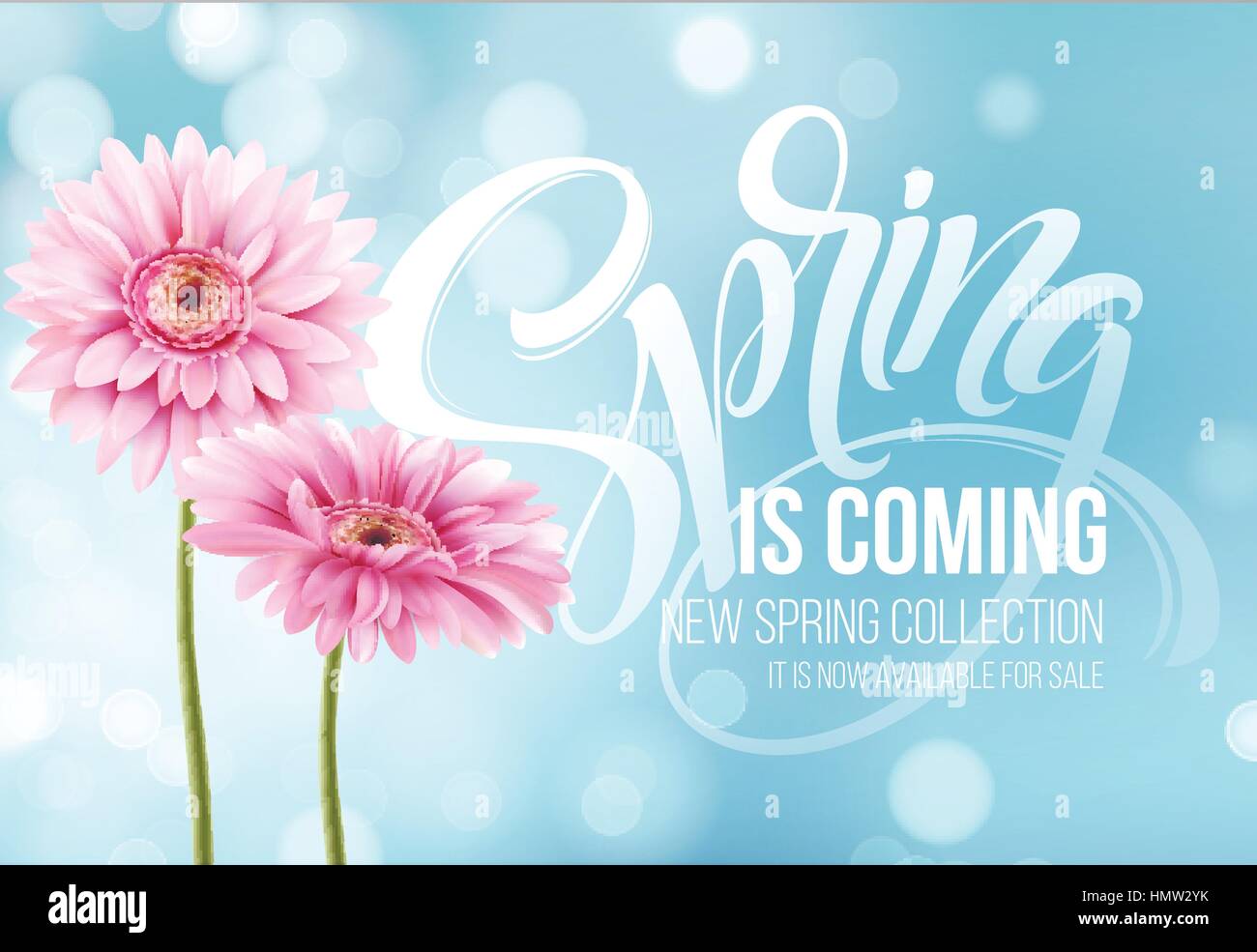 Gerbera Flower Background and Spring is coming Lettering. Vector ...