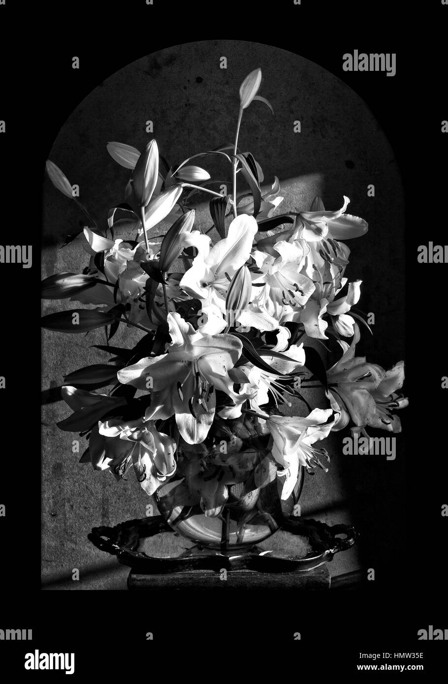 Water lilies on black Black and White Stock Photos & Images - Alamy