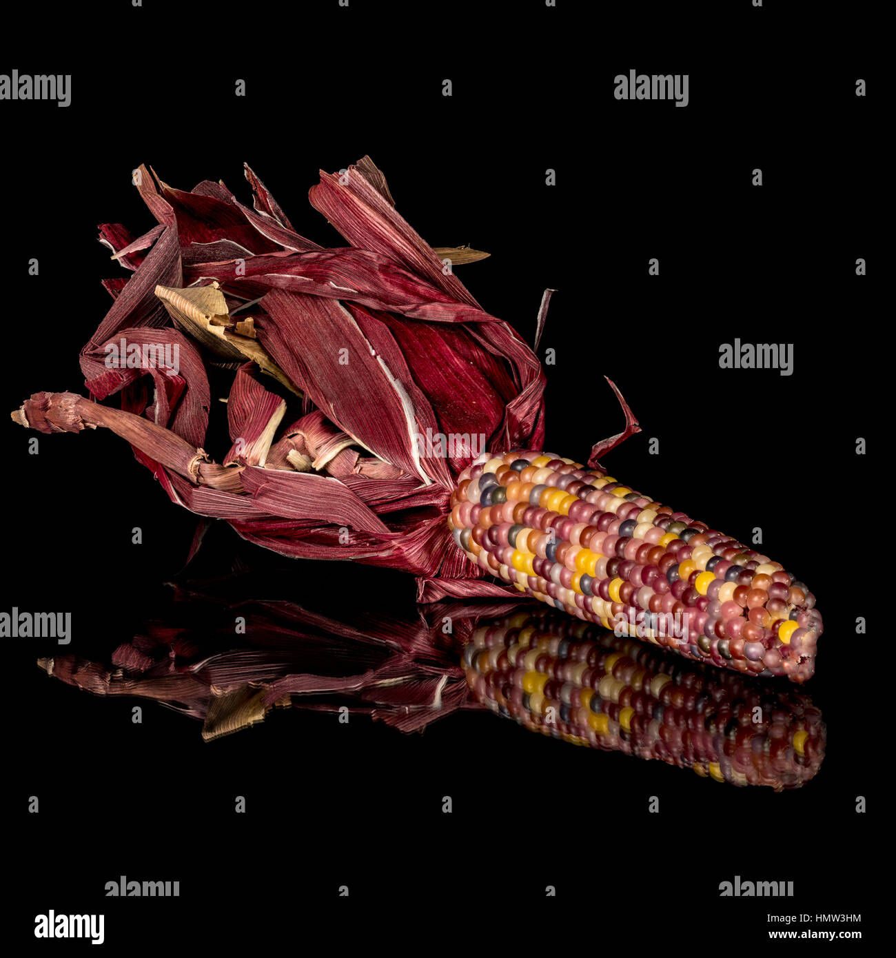 Iconic ear of Indian corn with a red stalk Stock Photo - Alamy