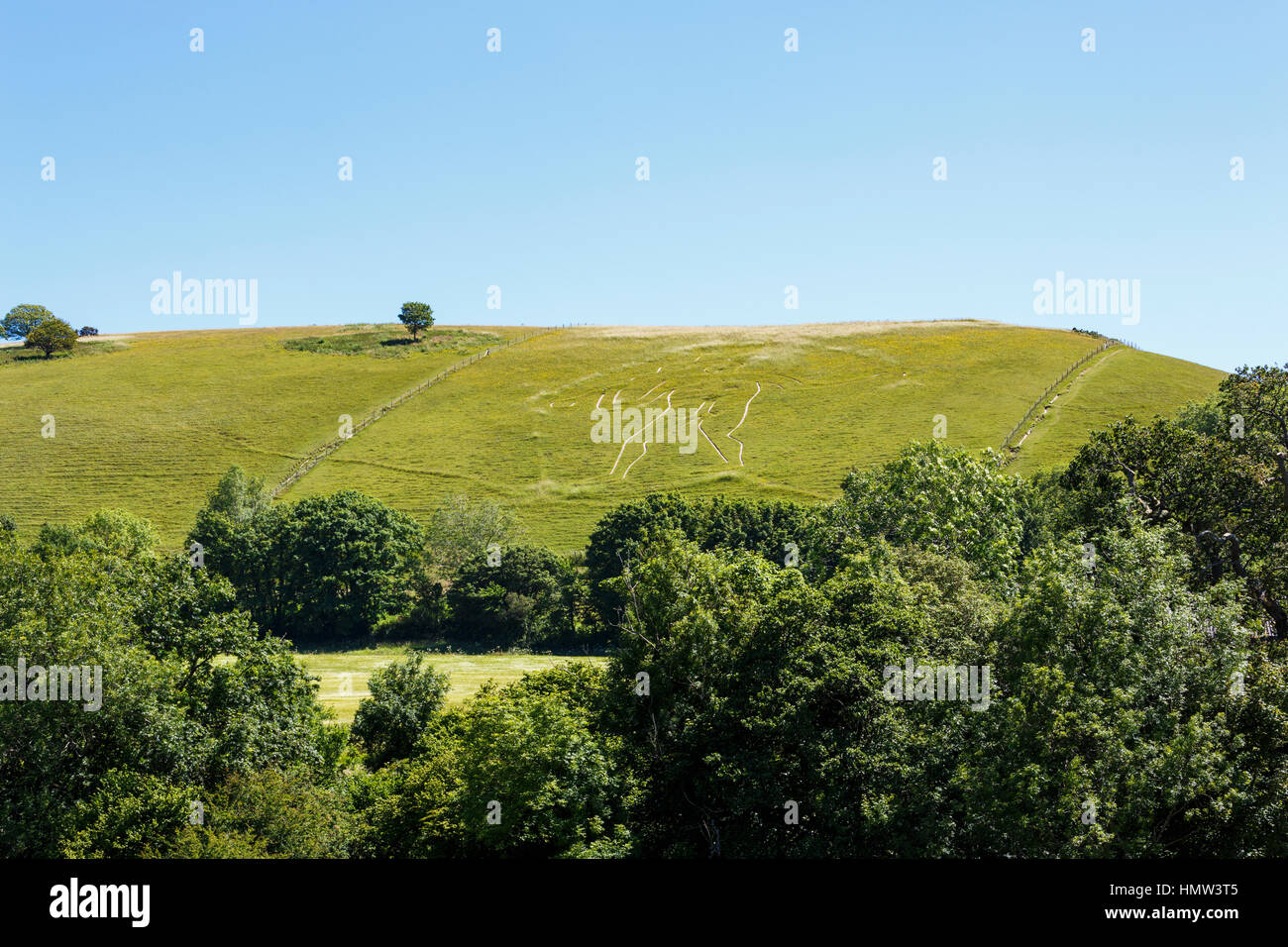 The Cerne Giant, a hill figure carving of a naked man with an erect ...