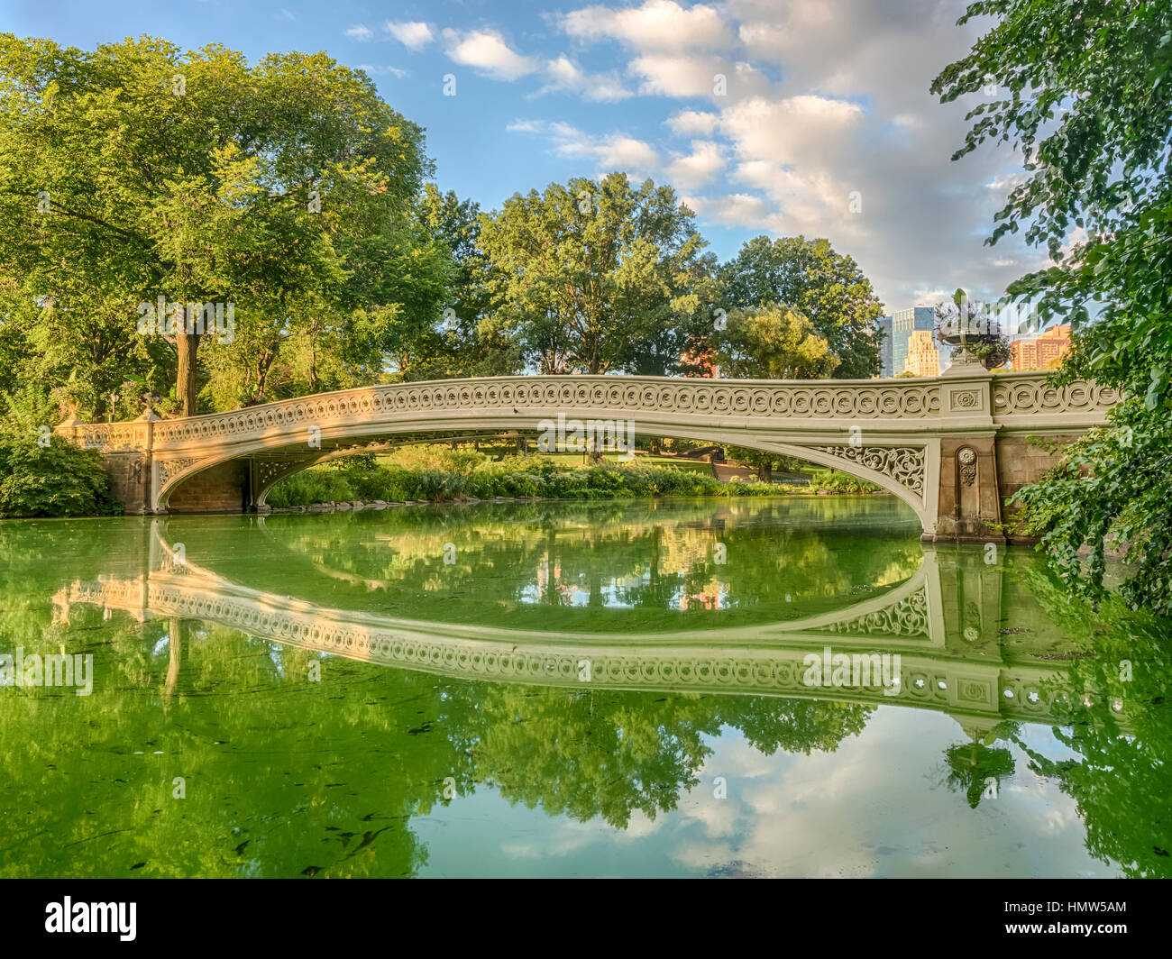 The Bow Bridge is a cast iron bridge located in Central Park, New York ...