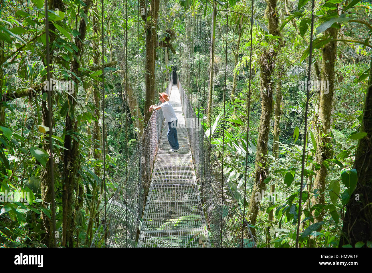 Man standing on hanging bridge in rainforest, La Fortuna, Costa Rica ...