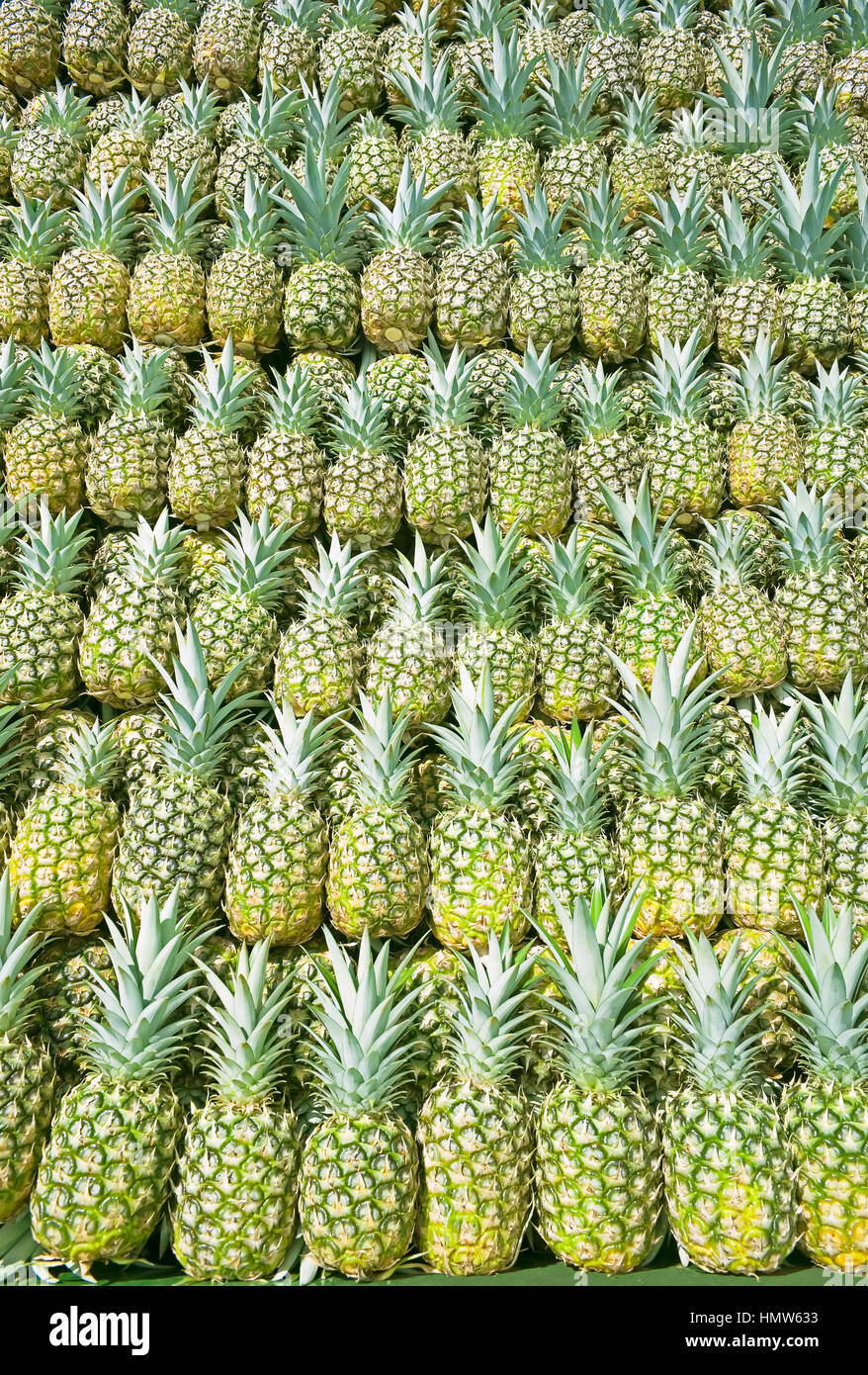 Harvested organic pineapples, Sarapiqui, Costa Rica Stock Photo - Alamy