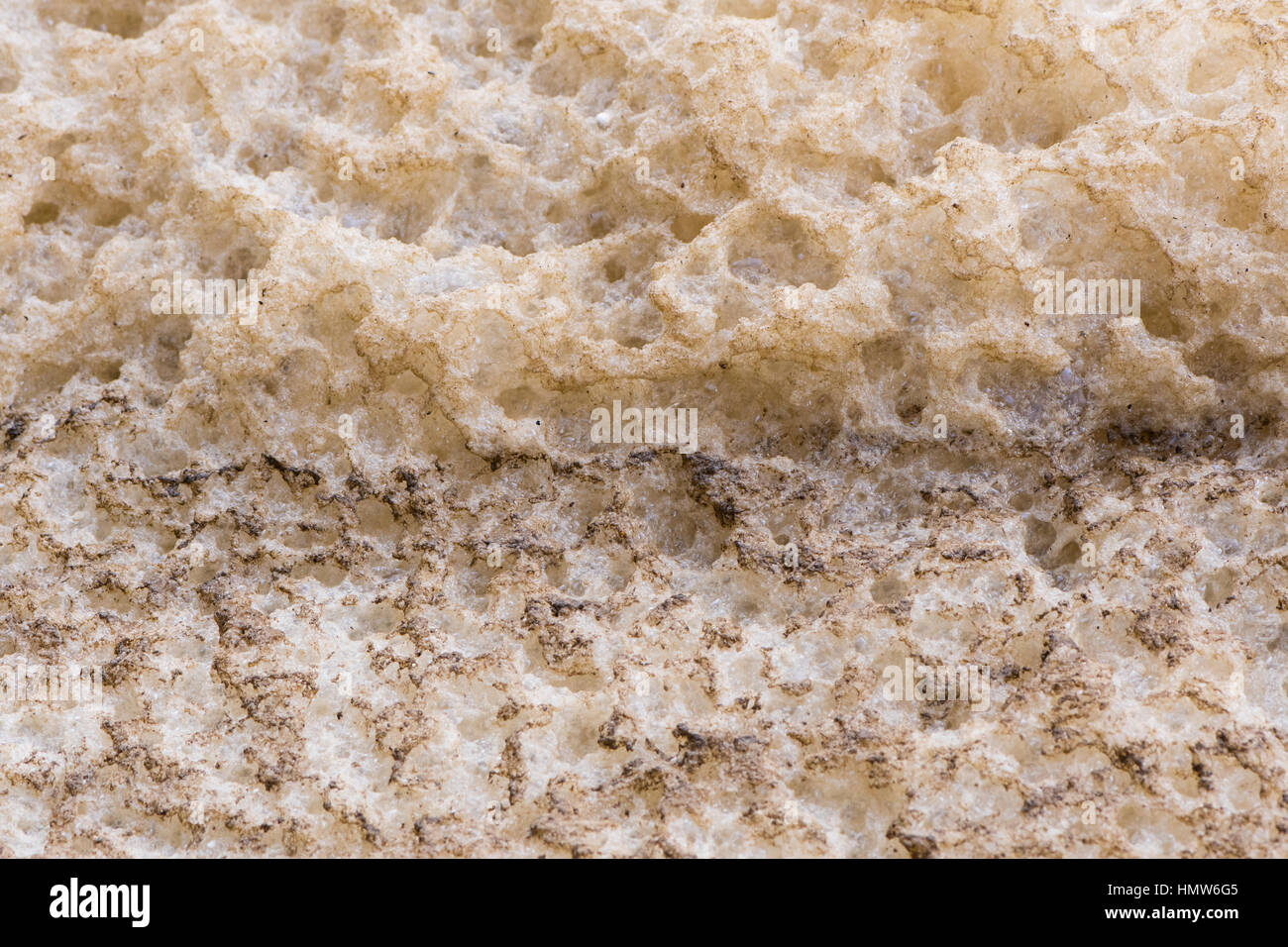 Scum on water hi-res stock photography and images - Alamy