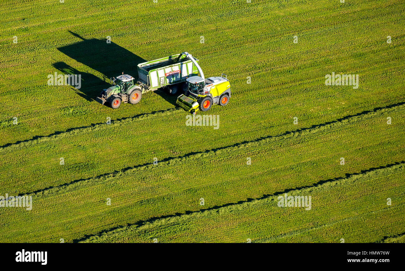 Hay harvest machine hi-res stock photography and images - Alamy