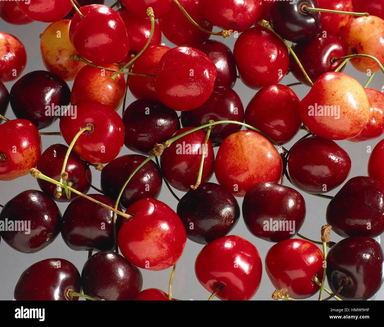 Marostica cherries prunus avium hi-res stock photography and images - Alamy