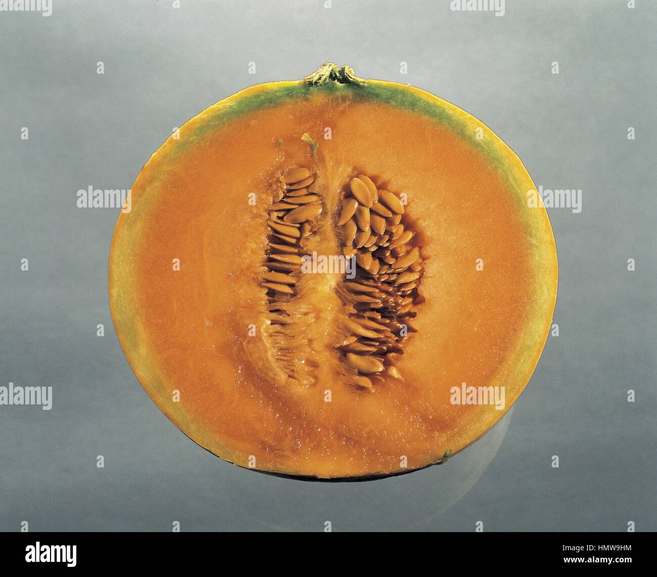 Still life - Melon, section Stock Photo - Alamy