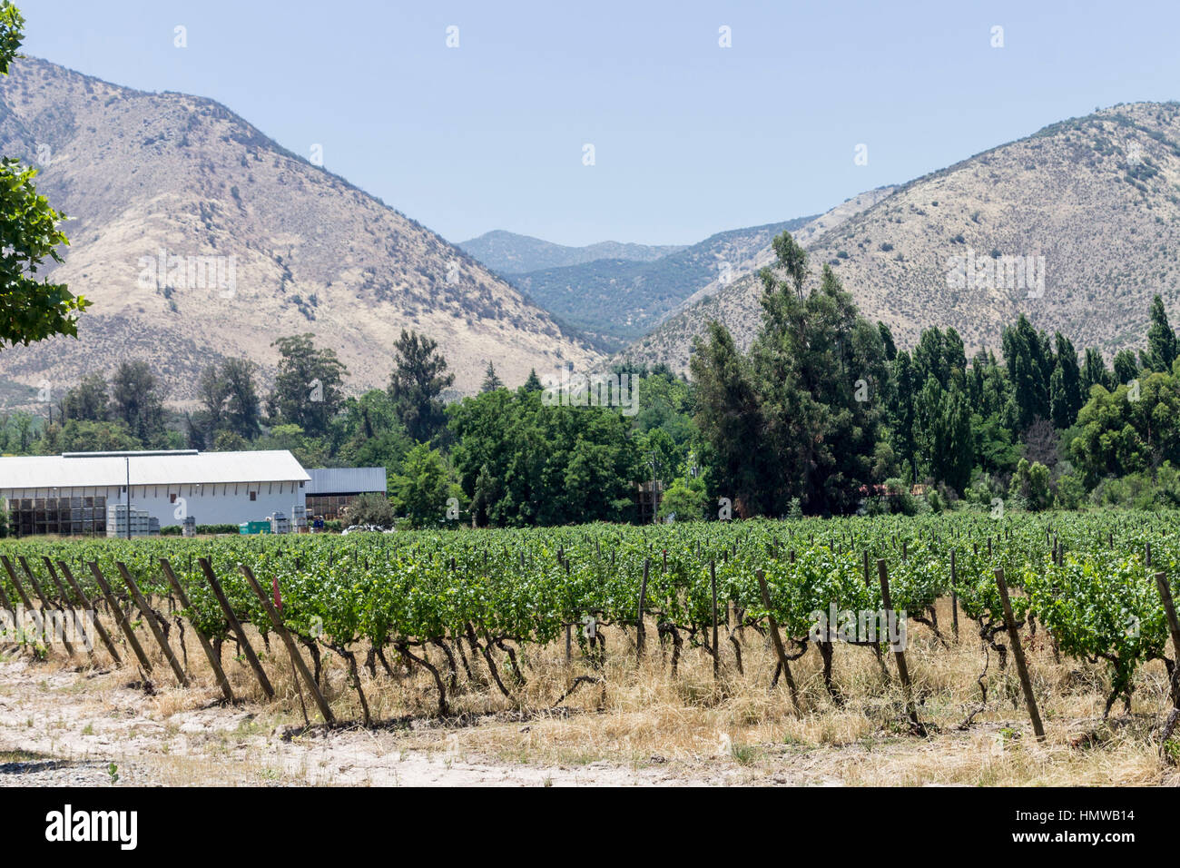 Maipo valley and andes mountains hi-res stock photography and images ...