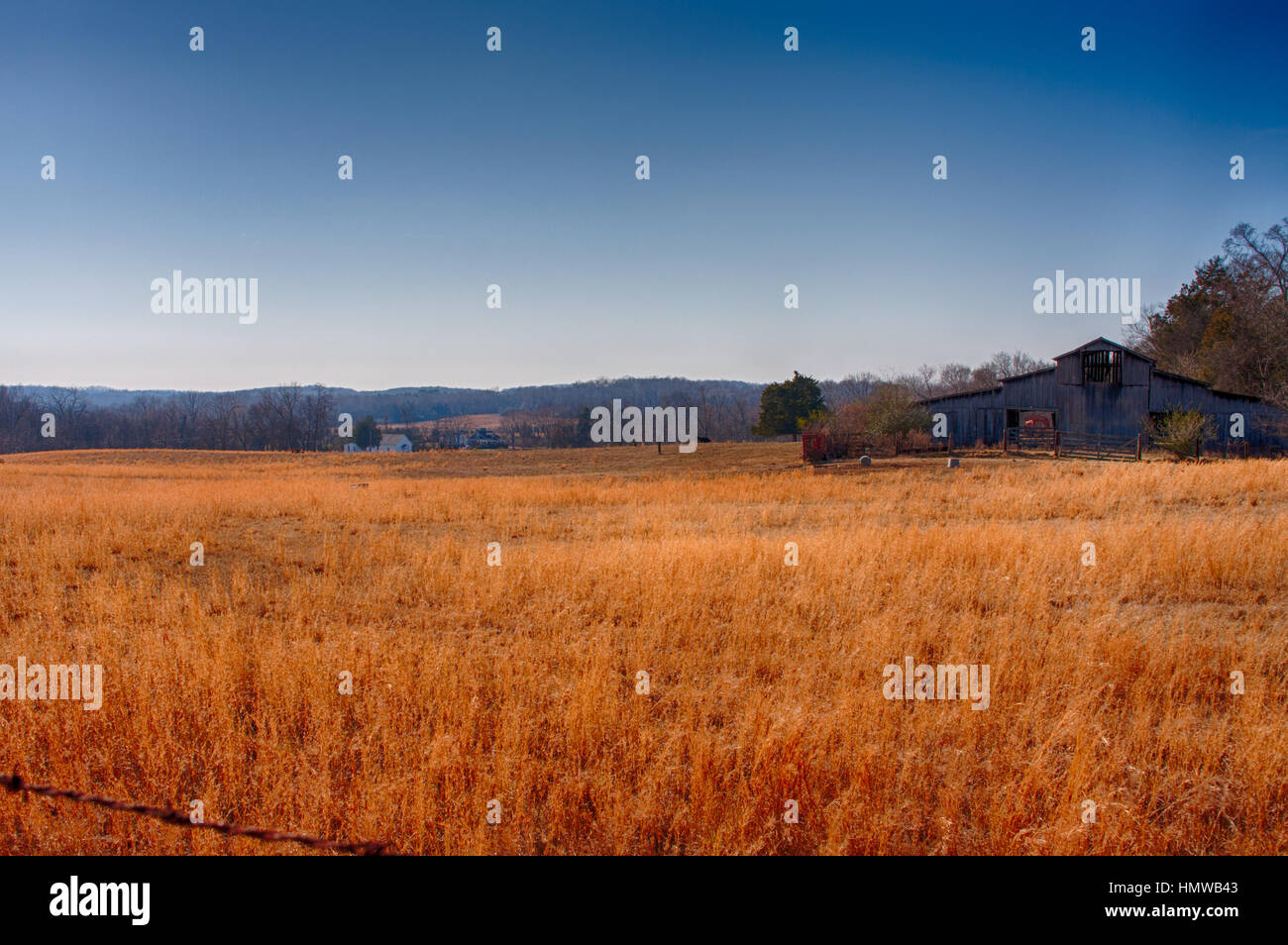Old Barn in Golden Grass Field Stock Photo - Alamy