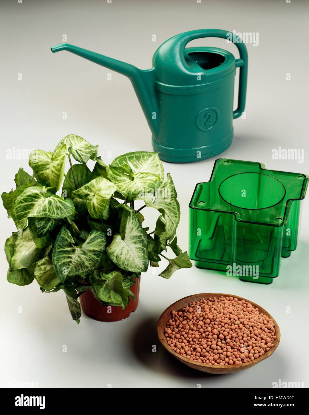 Watering can, pot for hydroponics Stock Photo - Alamy