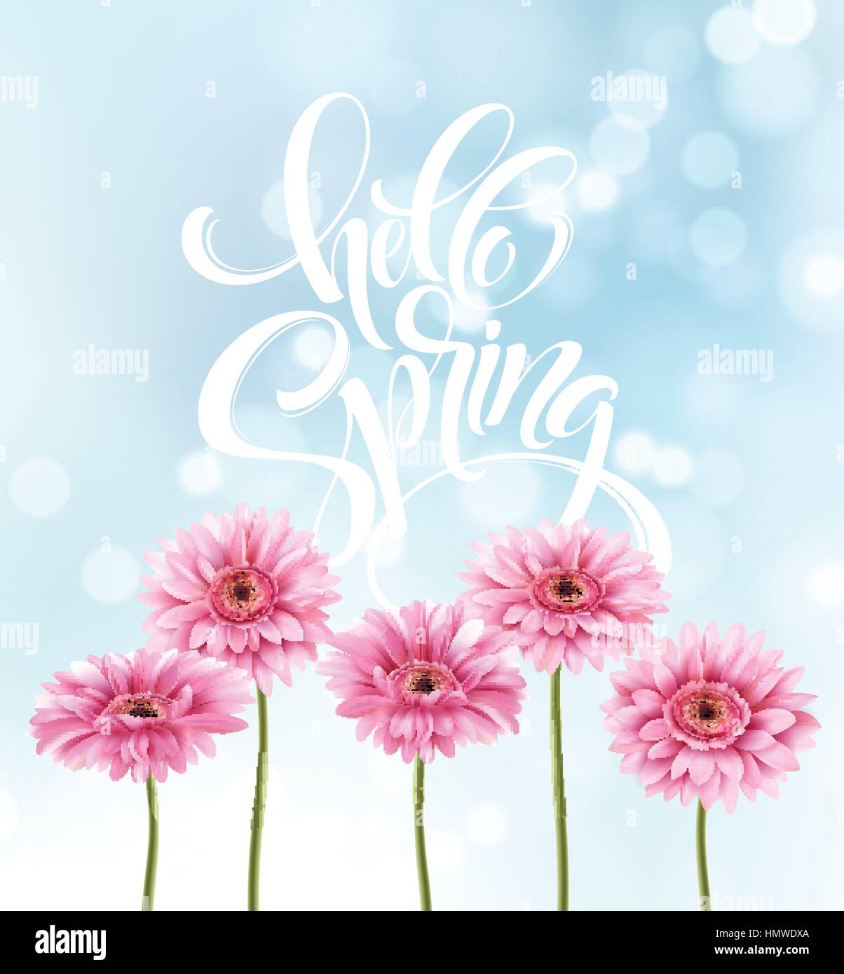 Gerbera Flower Background and Hello Spring Lettering. Vector ...