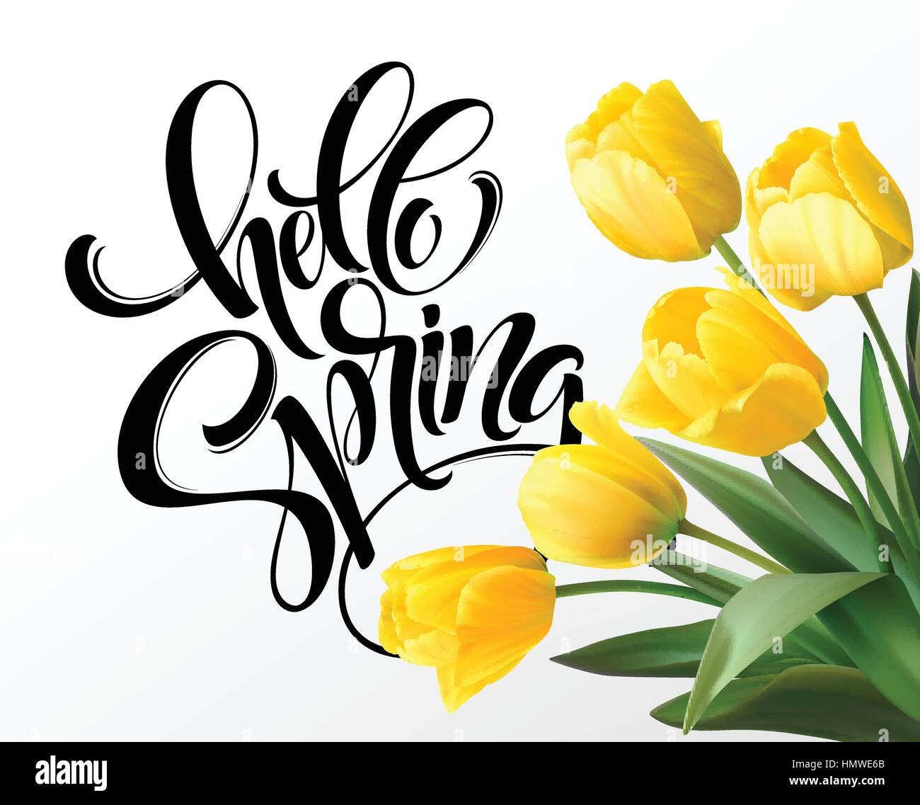 Tulip botanical illustration hi-res stock photography and images - Alamy