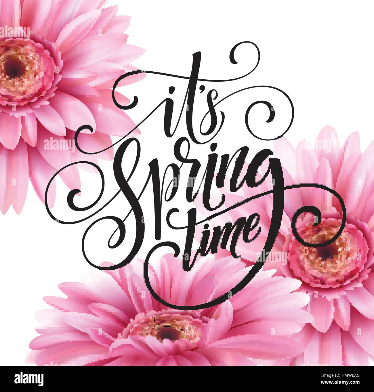 Gerbera Flower Background and Spring Lettering. Vector Illustration ...